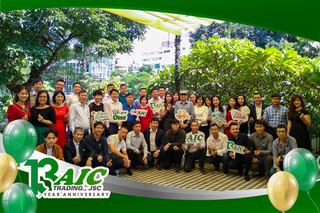 Công ty cổ phần tích hợp AV (AVI JSC)